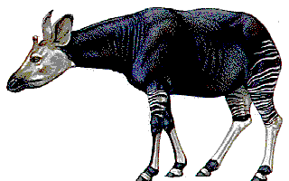 Institut Virtuel de Cryptozoologie